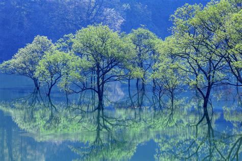 白川湖岸公園観光スポット飯豊町置賜地方やまがたへの旅 山形県の公式観光旅行情報サイト