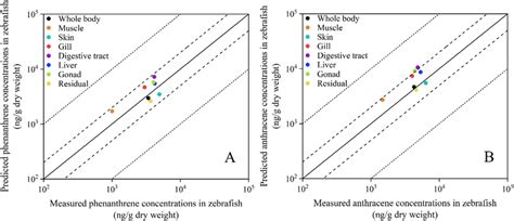 the comparison between measured and predicted concentrations of