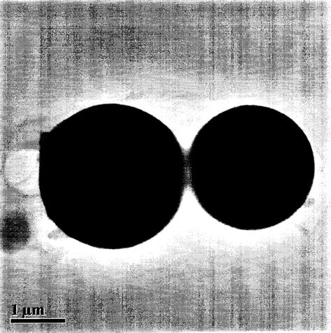 Crosslinking Poly Organophosphazenes Microsphere And Preparation