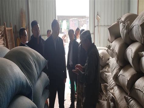 民乐县人民政府网南丰镇：“三抓三促”聚合力 落实粮食安全责任