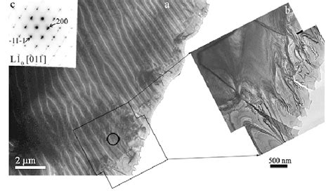 A Magnetic Domain Structure At 105 K Observed By Lorentz Microscopy Download Scientific