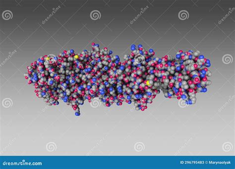 Human Gamma Thrombin Molecular Model Rendering Based On Protein Data