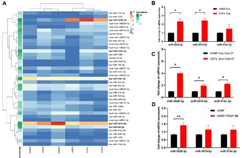 Results Of Differential Mirna Screening And Validation A Differential