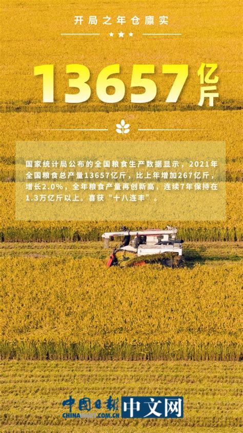 开局之年仓廪实我国粮食生产再获丰收