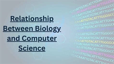 Relationship Between Biology And Computer Science