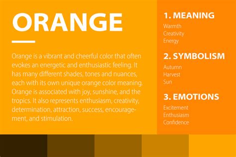 10 Meanings Of Color Orange Symbolizes Excitement And Confidence