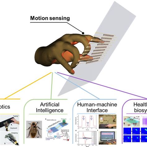 Representative Tactile Sensor Arrays With Active Matrix Driving With Download Scientific