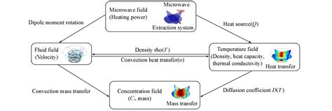 Development And Validation Of Multiple Physical Fields Coupling Model For Microwave Assisted