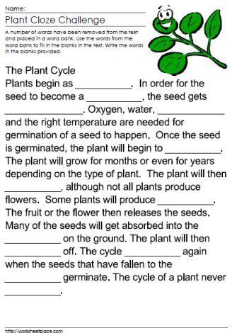 Th Grade Science Worksheets Plants Askworksheet