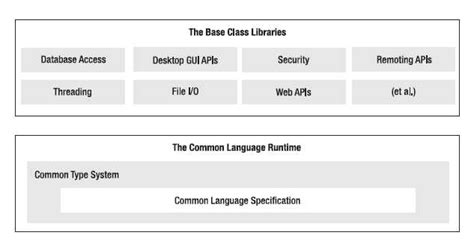 understanding the common language specification in framework