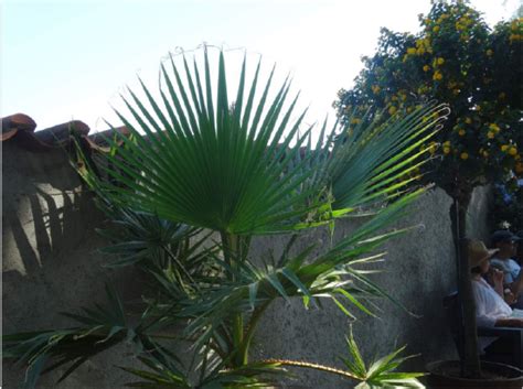 42 Structure And Function Nucleic Acids Introductory Biochemistry