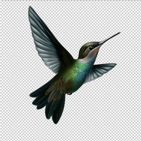 P Gina Psd Passarinhos Voando Png Modelos Psd Gr Tis De Alta Qualidade Para Download