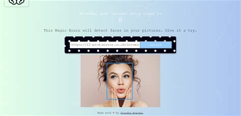 Github Boomerang121smart Brain Project