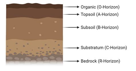 Soil Definition Composition Properties Types And Uses