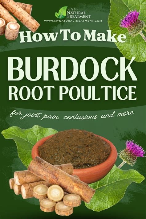 Best 13 How To Make Pickled Burdock Root Artofit