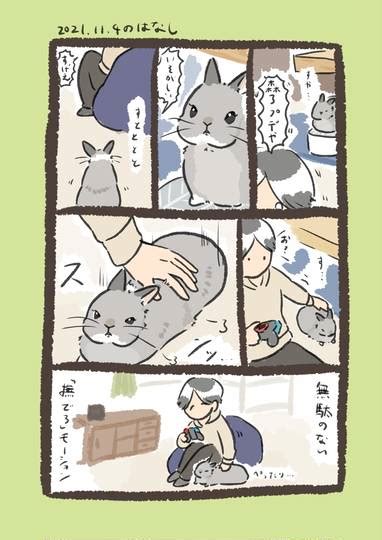 Rabbit Kuro