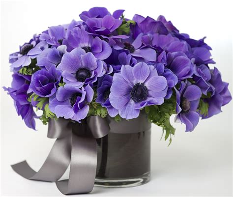 Bouquet Fleur Violette 24 Plantes à Fleurs Violettes Pour Habiller