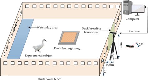 Figure 1 From Pose Estimation And Behavior Classification Of Jinling