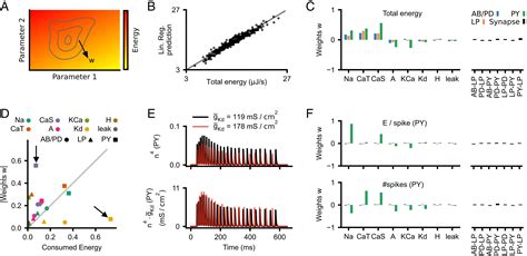 Energy Efficient Network Activity From Disparate Circuit Parameters Pnas