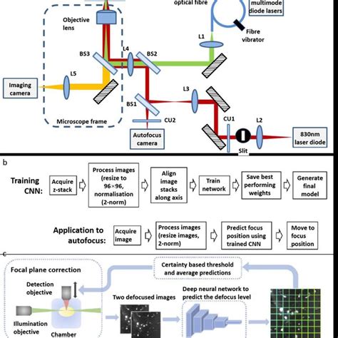 Different Types Of Deep Learning Assisted Autofocus System A Download Scientific Diagram