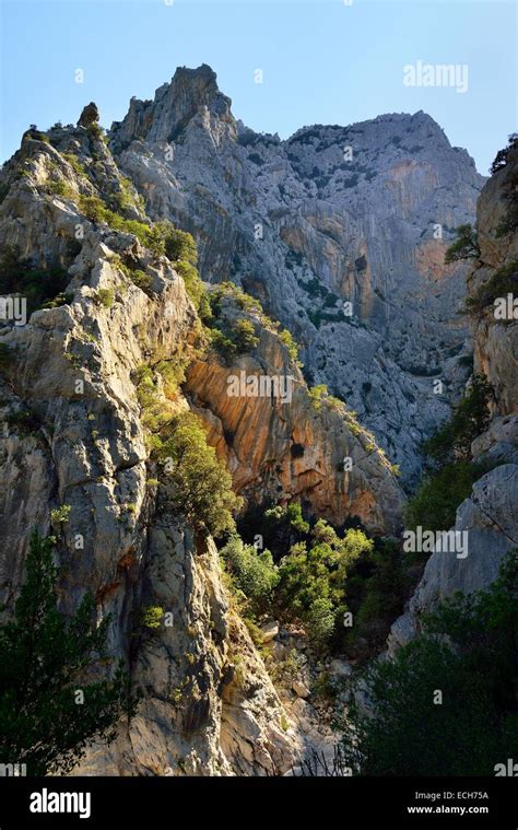 Steep Cliffs In The Gola Gorropu Gorge Gennargentu National Park