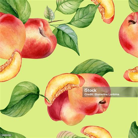 신선한 천도 복숭아 전체와 절반 수채화 완벽 한 패턴은 녹색 배경에 고립되어 있습니다 잘 익은 과일 복숭아 잎 살구 손으로 그렸습니다 포장 섬유 포장지 직물 디자인 요소