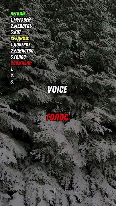 ЛЁГКАЯ ТРЕНИРОВКА АНГЛИЙСКОГО ЯЗЫКА С нуля до Разговорного Английского за 5 минут в день