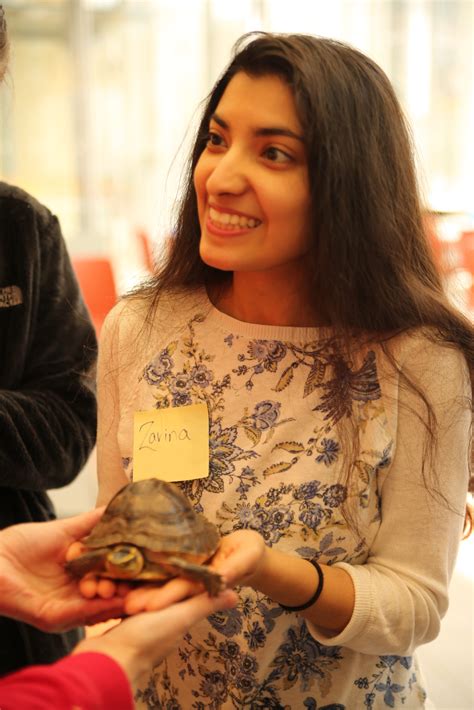 Daphnia In Microplastics Biobus