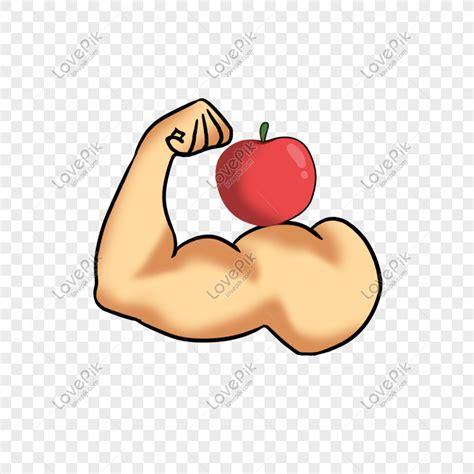 손으로 그린 휘트니스 팔 팔뚝 일러스트 레이션 Png 일러스트 무료 다운로드 Lovepik