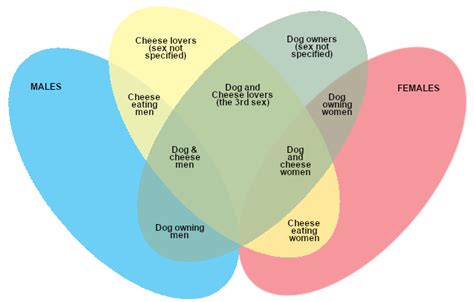 Gender Spectrum Graph