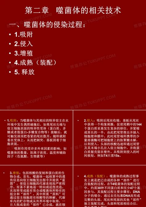 酿酒酵母ppt模板下载 编号lyzmmrke 熊猫办公