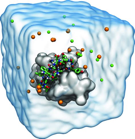 Explicit Solvent Model Of The Biomolecular System Consisting Of The Download Scientific Diagram