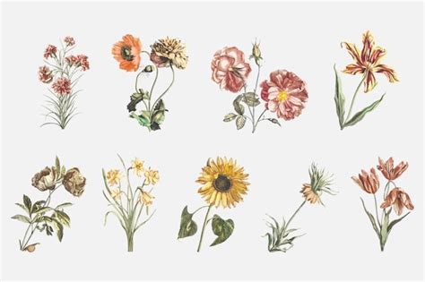 Vintage Flower Vector Free Best Flower Site
