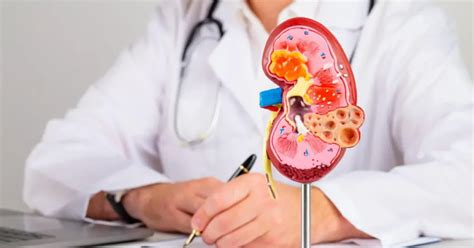 Уромед эмнэлэг Uromed Бөөр дотрын эмнэлэг Uromed Mn