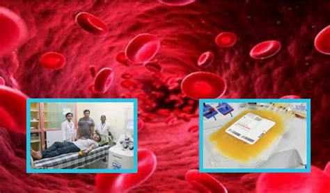 Platelets రక్తంలో ప్లేట్లెట్స్ తగ్గాయని తెలిపే లక్షణాలు ఏంటి Mana