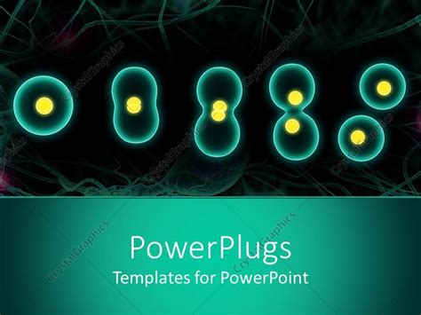Cell Division Powerpoint Template Poweredtemplate 3 Backgrounds