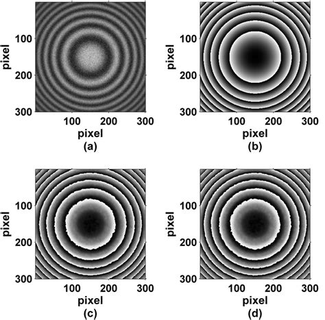A One Of Simulated Phase Shifted Fringe Patterns With Strong Noise Download Scientific