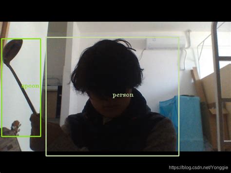 pytorch 实时物体检测 pytorch 识别图中物体 csdn博客