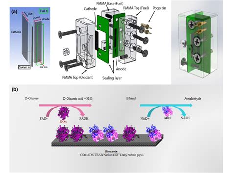 A Scheme Of The Microfluidic Fuel Cell And Components Using A Ptc