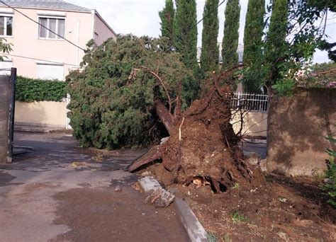 დედაქალაქში მოსული უხვი ნალექის შედეგად დაზიანებული ინფრასტრუქტურის აღდგენა ინტენსიურ რეჟიმში