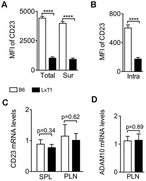 Decreased Intracellular Cd23 Level And Normal Cd23 And Adam10 Mrna Download Scientific Diagram