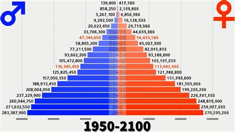 세계 인구 피라미드 변화 1950~2100 Youtube