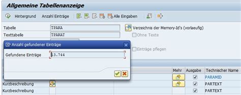 Eigenen Parameter In Sap Erp Erstellen Set Get Paremter Id Tipps