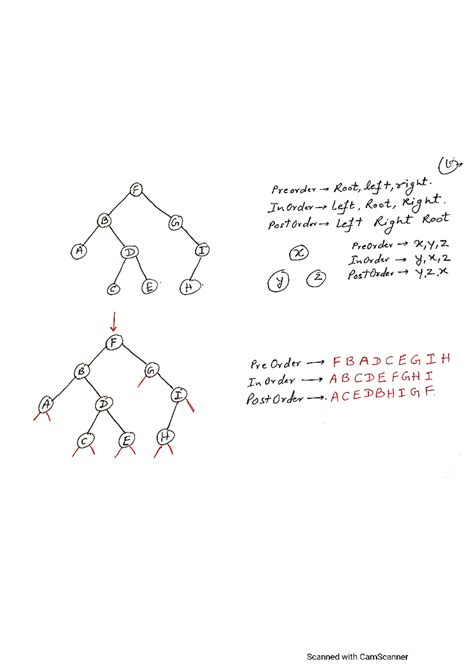 Data Structure Expression Trees In F Preorder Root Lef Right