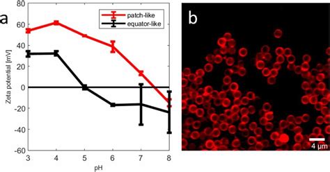 Zeta Potential Measurements And Interactions A The Zeta Potential Download Scientific