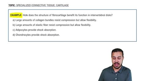 Fibrocartilage Tissue Location And Function