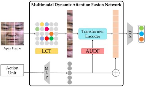 Multimodal Attention Dynamic Fusion Network For Facial Micro Expression