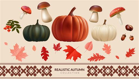 호박 버섯 나뭇잎 도토리의 현실적인 3d 가을 세트 가을 컬렉션 중독 및 식용 버섯 참나무 단풍 나무 붉은 잎 가을 시즌 배너 카드 초대장을 위한 디자인 요소 Ai가 아님