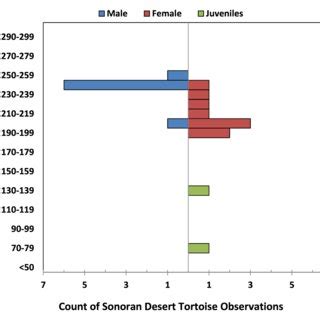 Histogram Illustrating Sex Ratios By Size Class For Sonoran Desert Download Scientific Diagram