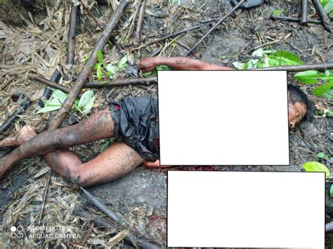 ဇီးကုန်းမြို့နယ်၊ ပဲခူးရိုးမတွင် Pdf တပ်စခန်းများကို လိုက်လံ စုံစမ်းနေသည့် ပျူစောထီး ၁ ဦးကို ပစ